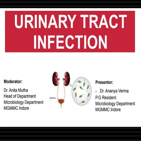 uti seminar.ppt | Infectious Diseases | Diseases and Conditions
