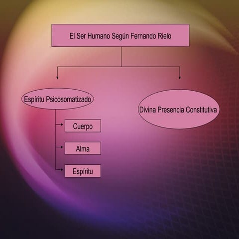 Estructura Del Ser Humano | PPT