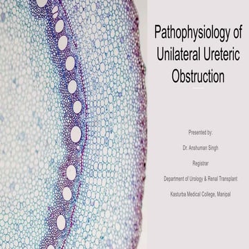 Urinary tract obstruction pathophysiology.pptx