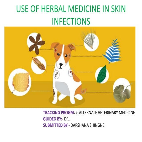 Use of herbal medicine in skin infections | PPTX