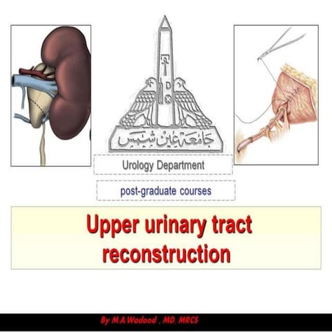 Upper urinary tract reconstruction | PDF