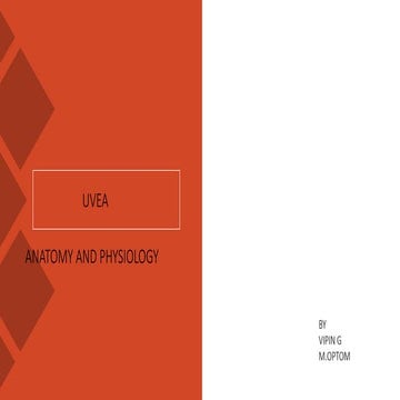 #ANATOMY OF UVEA (IRIS, CILLIARY BODY, CHOROID) | PDF