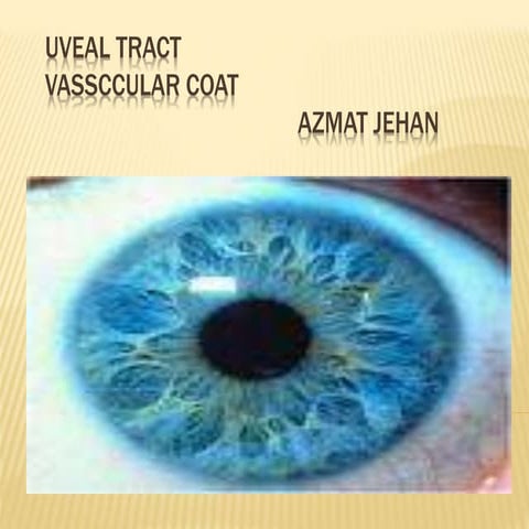 Vascular layer of the eye | PPTX