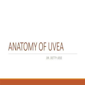 #ANATOMY OF UVEA (IRIS, CILLIARY BODY, CHOROID) | PDF