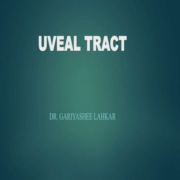 Vascular layer of the eye | PPTX