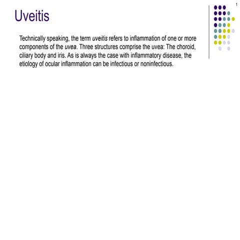 Uveitis in the eye anterior uvitis and posterior uveitis | PDF