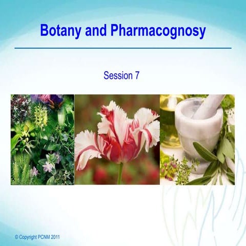 Botany session 7 | PPT
