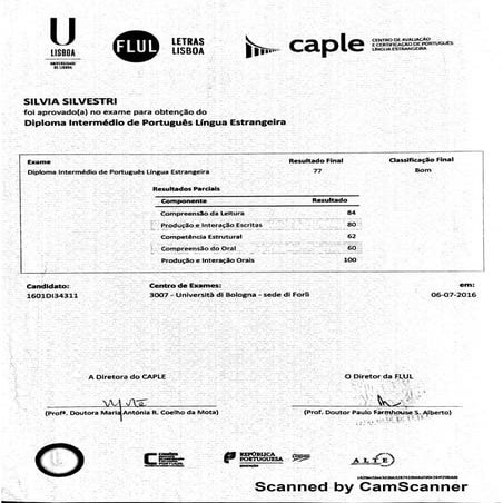 DIPLE | PDF
