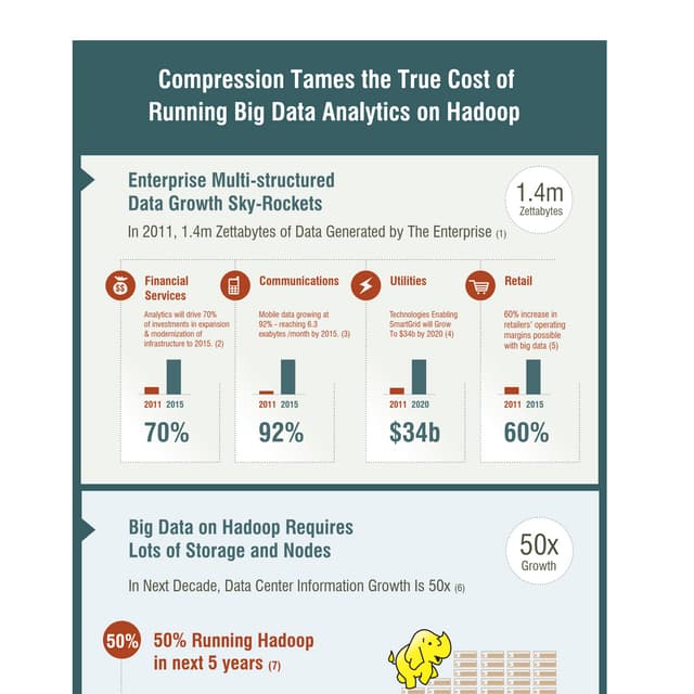 Big Data Analytics on Hadoop RainStor Infographic | PDF