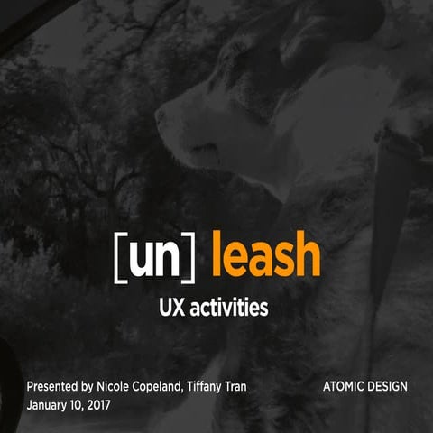 UX Activities for Pet Wearable iOS Mobile App | PDF