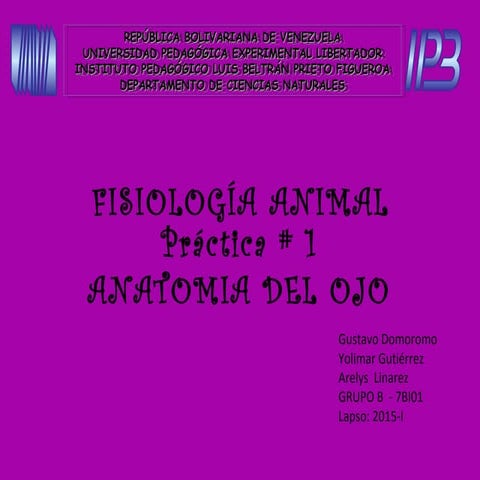 Disección de ojo de vaca. | DOCX