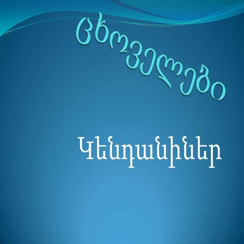 V. kendaniner | PPTX