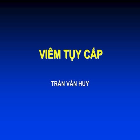V-TUY-CAP-Y-hue.pdf