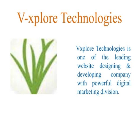 Amazon Webstore Designer Vxplore Technologies Ppt
