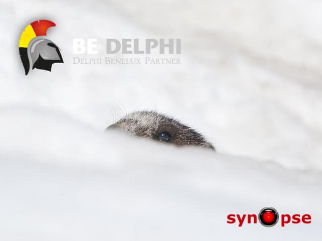 Delphi ORM SOA MVC SQL NoSQL JSON REST mORMot | PPT Delphi ORM SOA MVC SQL NoSQL JSON REST mORMot | PPT
