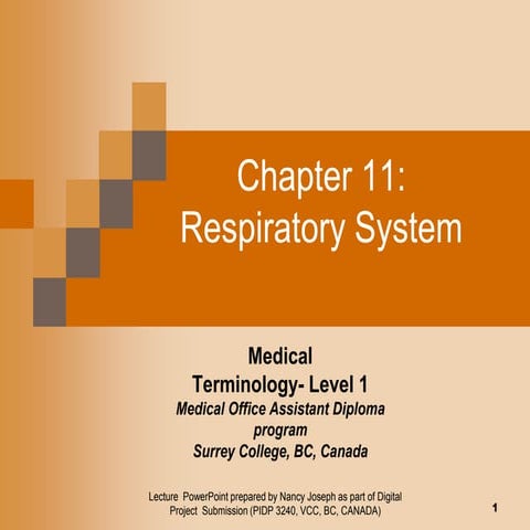 Respiratory System | PPTX