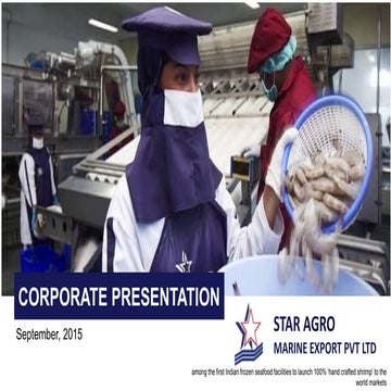 Star Corporate Presentation | PPTX