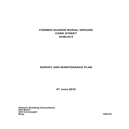 Cork street burialground-report-2019 | PDF