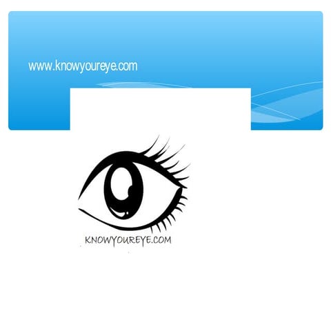 Best Ppt On Visual Acuity Ppt