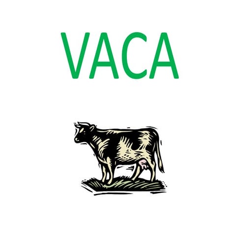 Vaca | PPTX