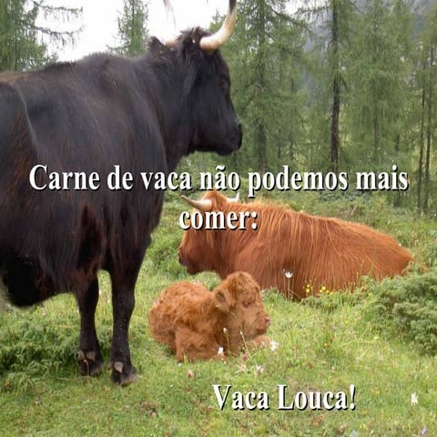 Vaca louca | PPT