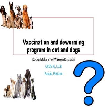 Vaccination and deworming program in cat and dogs | PPTX