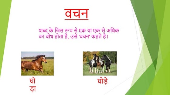 rachna ke aadhar par vakya bhed 01june24.pptx