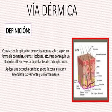 VÍA DÉRMICA 5.pptx................................... | PPTX