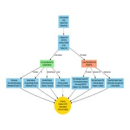 vaginal_discharge_flowchart medicine.pdf