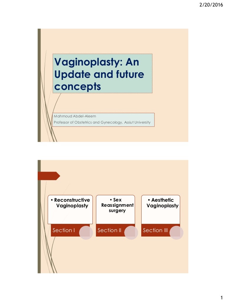 Vaginoplasty An Update And Future Concern