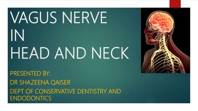 Vagus Nerve.ppt