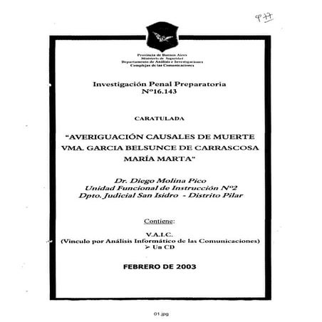 Vaic | PDF