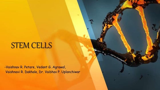 stem cell gene therapy | PPTX