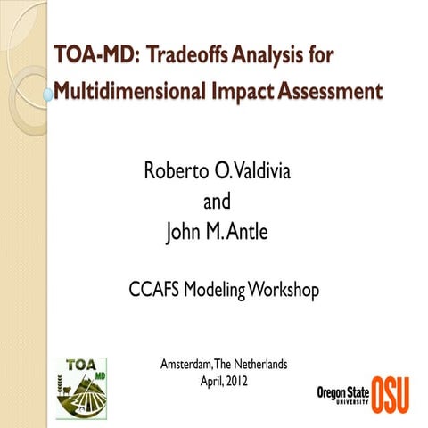 Valdivia toa md-modeling_workshopamsterdam_2012-04-23 | PDF