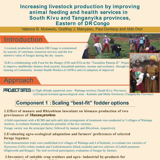 Increasing livestock production by improving animal feeding and health services in South Kivu ...