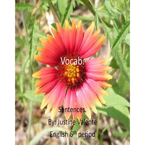 Valente Vocab | PPTX | Romance | Genres