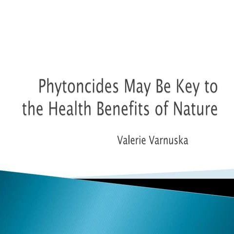 Phytoncides May Be Key to the Health Benefits of Nature | PPT