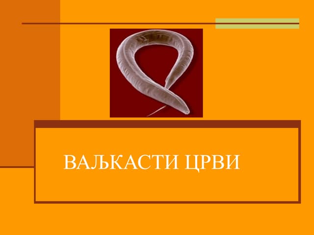 Građa ćelije - 7. razred, Dunja Ercegovčević | PPTX