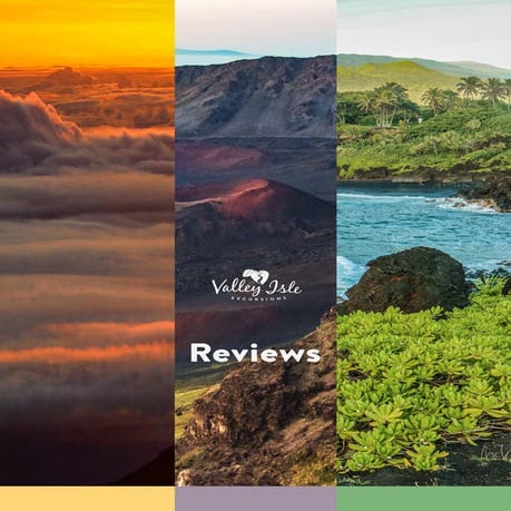 Reviews About Valley Isle Excursions | PDF