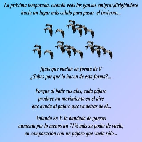 El Vuelo De Los Ganzos | PPT