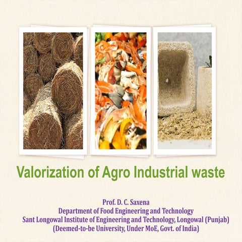 Valorization of Agro-Industrial Waste.pptx