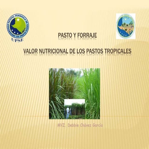 Valor nutritivos de los pastos tropicales | PPTX