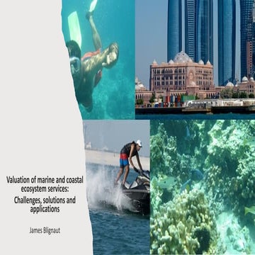 Valuation_of_marine_and_coastal_ecosystem_services_Challenges_solutions ...