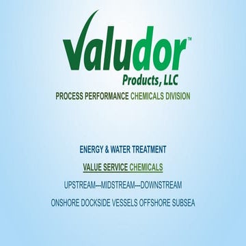 Valudor introduction ppc process performance chemicals division ...