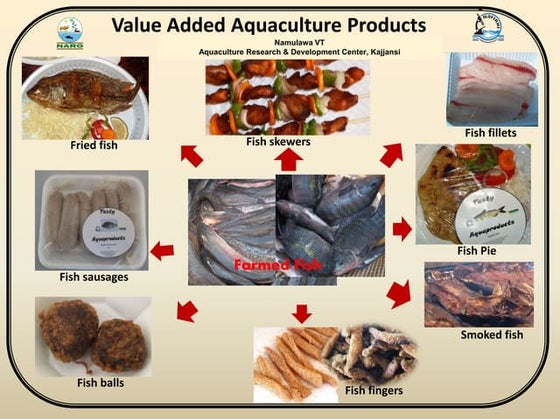 Fish by products ; by UMAIYA FAROOQ | PPTX