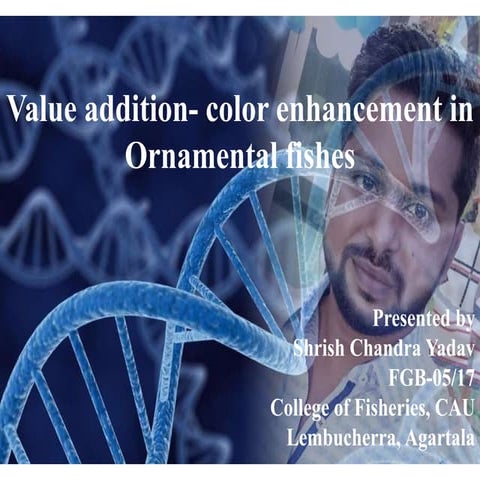 Value addition and colour enhancement in fishes | PPTX