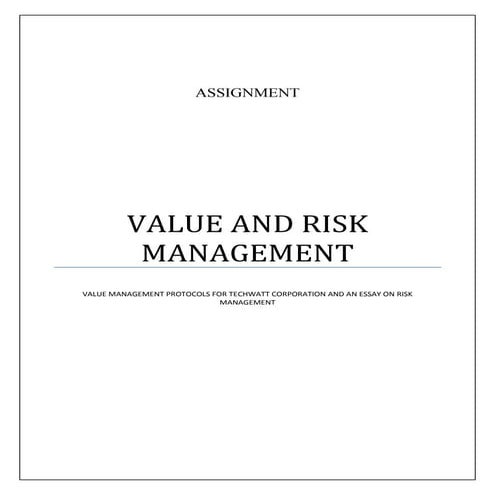 Value and risk assignment sample | PDF