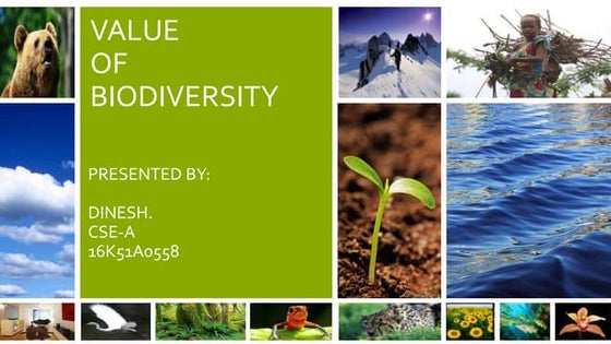 value of biodiversity | PPT