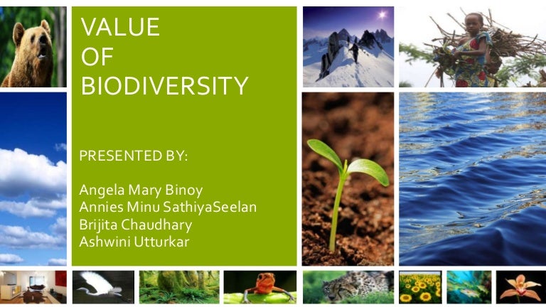 Value of biodiversity