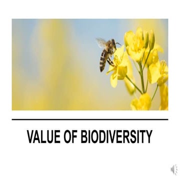 Value of Biodiversity.pptx
